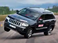 Mengenal Moose Test dan Sejarahnya